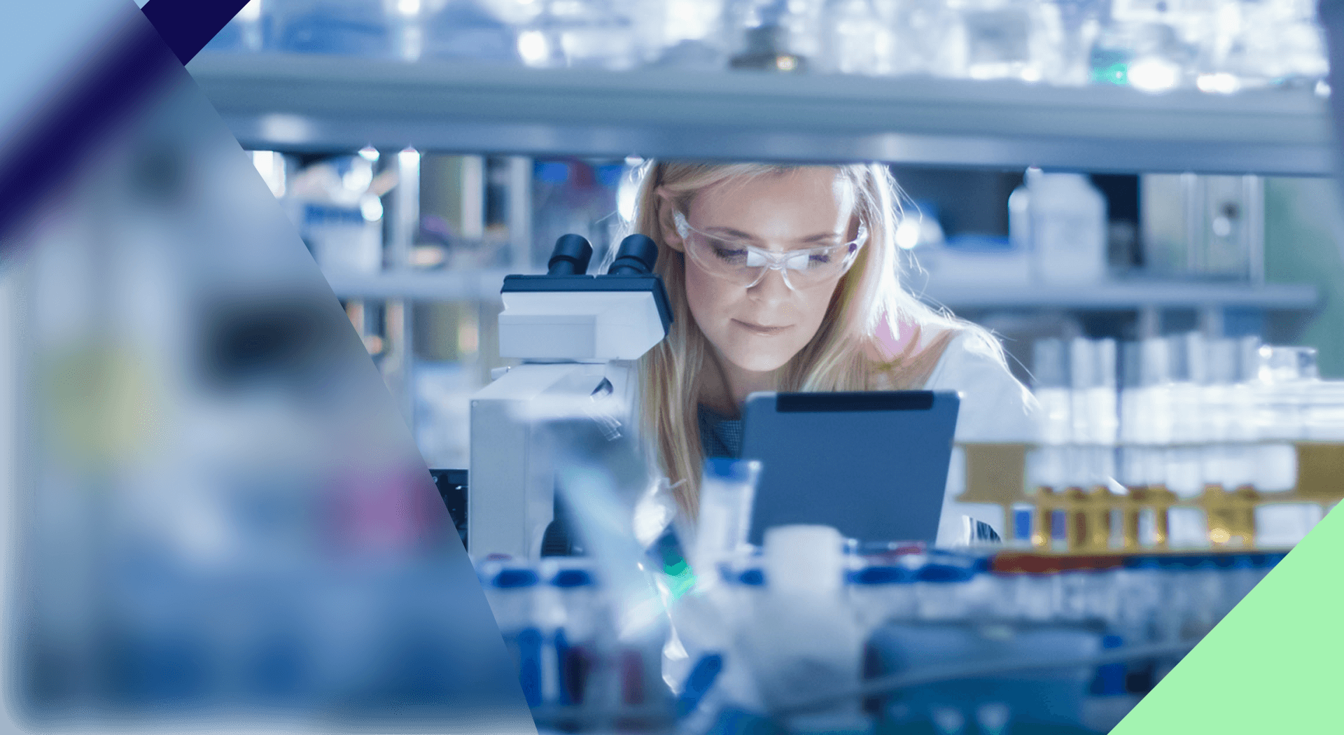 2025 State of Validation Key Insights | Kneat